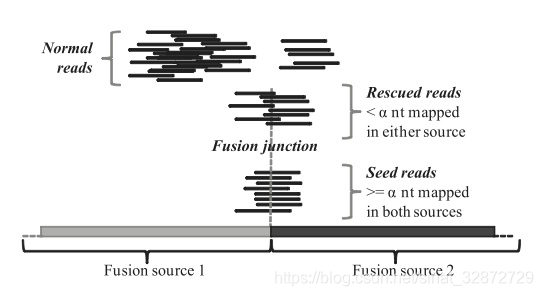 【bioinfo】融合检测软件FusionMap分析流程和报告结果-CSDN博客