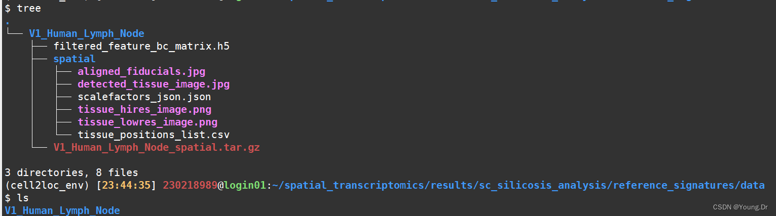 scanpy 空转数据结构seurattoscanpy spatial_scanpy 读取空转-CSDN博客