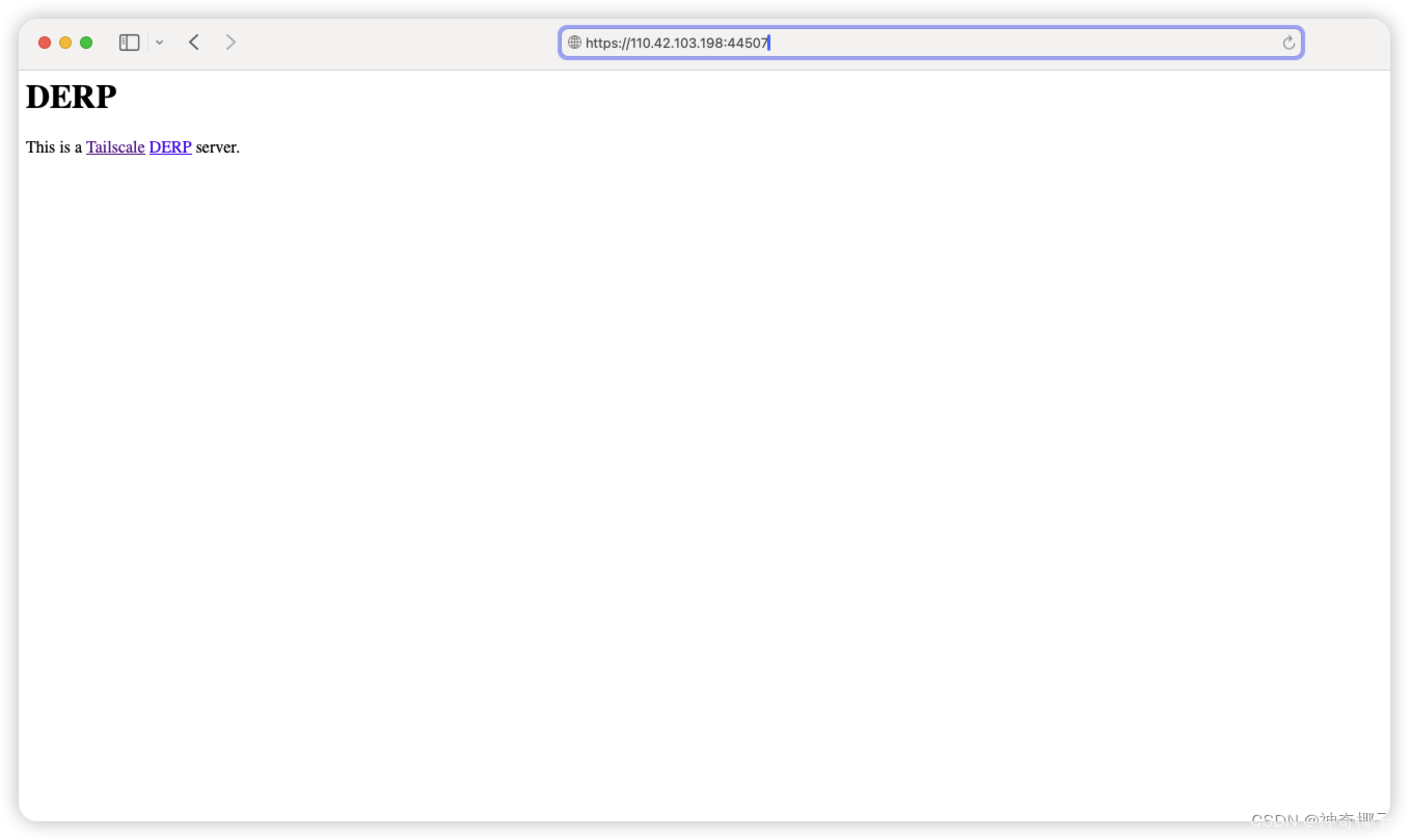 Tailscale异地组网中转derp服务器搭建(无需域名)_tailscale中转服务器搭建-CSDN博客