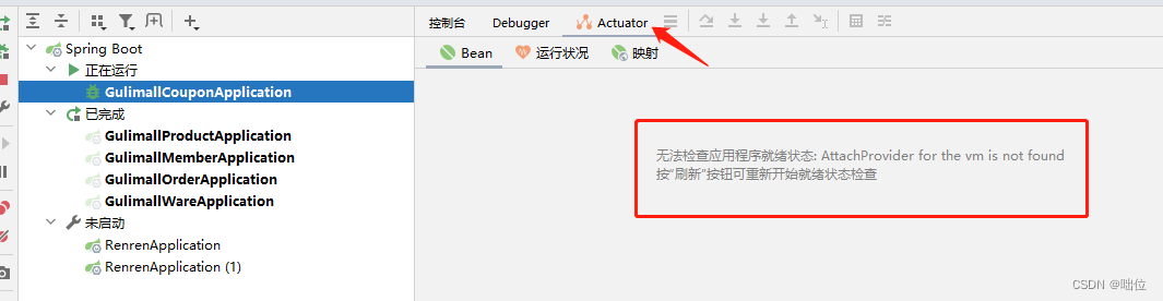 IDEA2022 Run Dashboard service服务不显示端口号解决方法_attachprovider for the vm is not found-CSDN博客