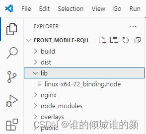 eslint和node-sass离线安装报错问题处理_eslint 离线安装-CSDN博客