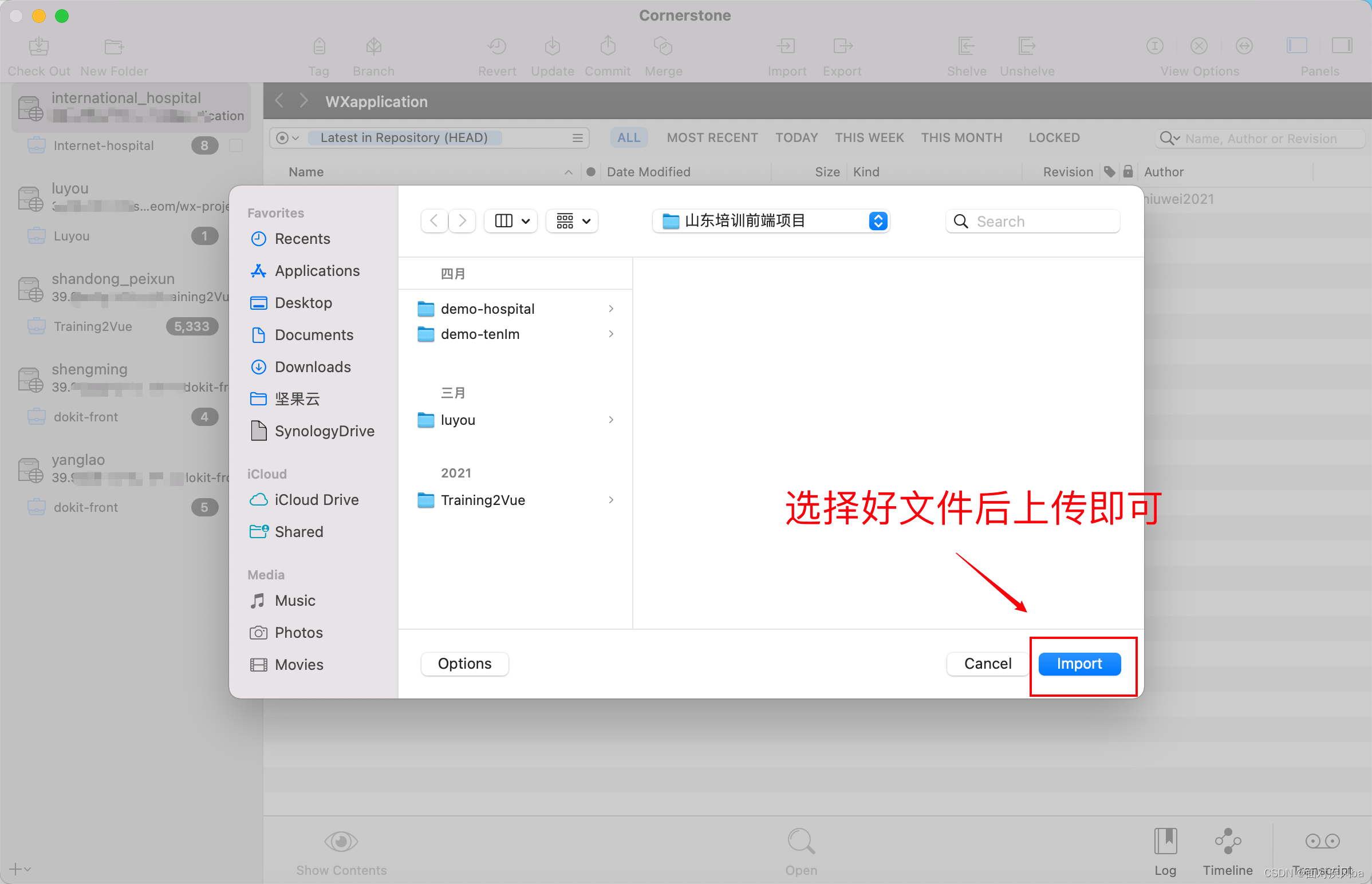 Mac使用cornerstone的操作使用和问题记录及不同图标的含义，持续更新..._mac cornerstone-CSDN博客