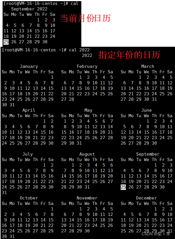 Linux-基本指令02-CSDN博客