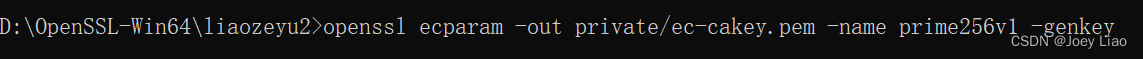 Windows openssl自建CA并分发证书(ECC)_openssl ca-CSDN博客