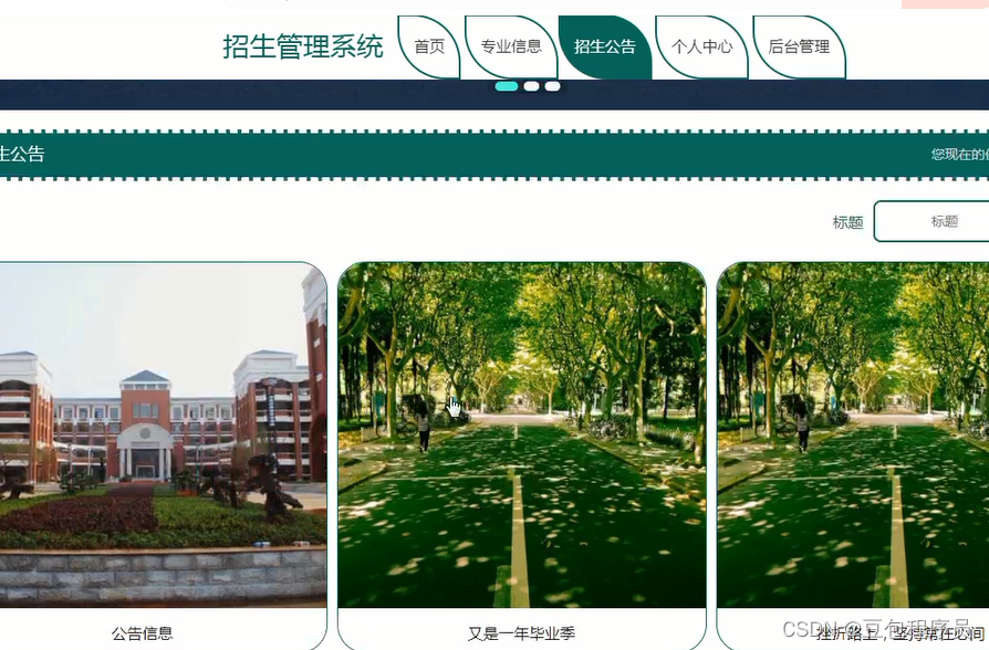 Java基于springbootvue高校招生宣传网站管理系统maven源码高校招生宣传管理系统 Csdn博客 