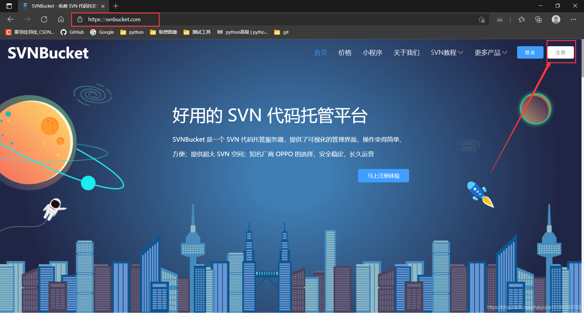 【亲测可行】SVN环境准备（服务端：SVNBucket，客户端：TortoiseSVN）-CSDN博客