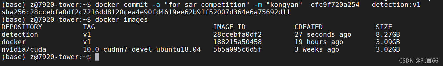 （全网最详细）如何在docker里搭建mmdetection环境并封装成镜像_docker mmdetection-CSDN博客
