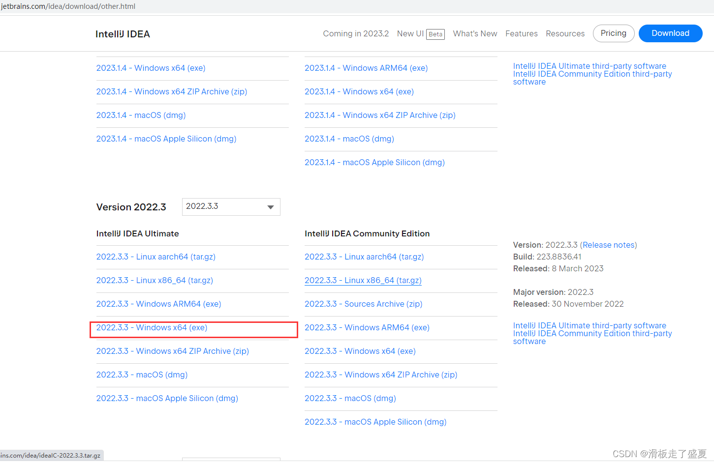 2023最新IntelliJ IDEA下载安装_idea2023下载-CSDN博客