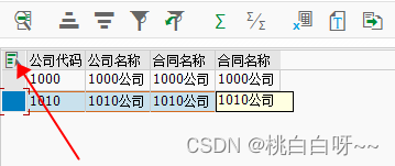 Function ALV“REUSE_ALV_GRID_DISPLAY_LVC“实现选择列的实现方式_alv 选择列-CSDN博客
