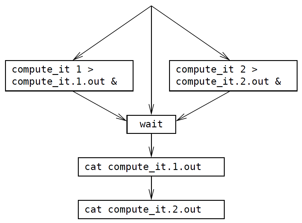 shell 脚本中wait命令以及多进程库wait()原语的使用-CSDN博客