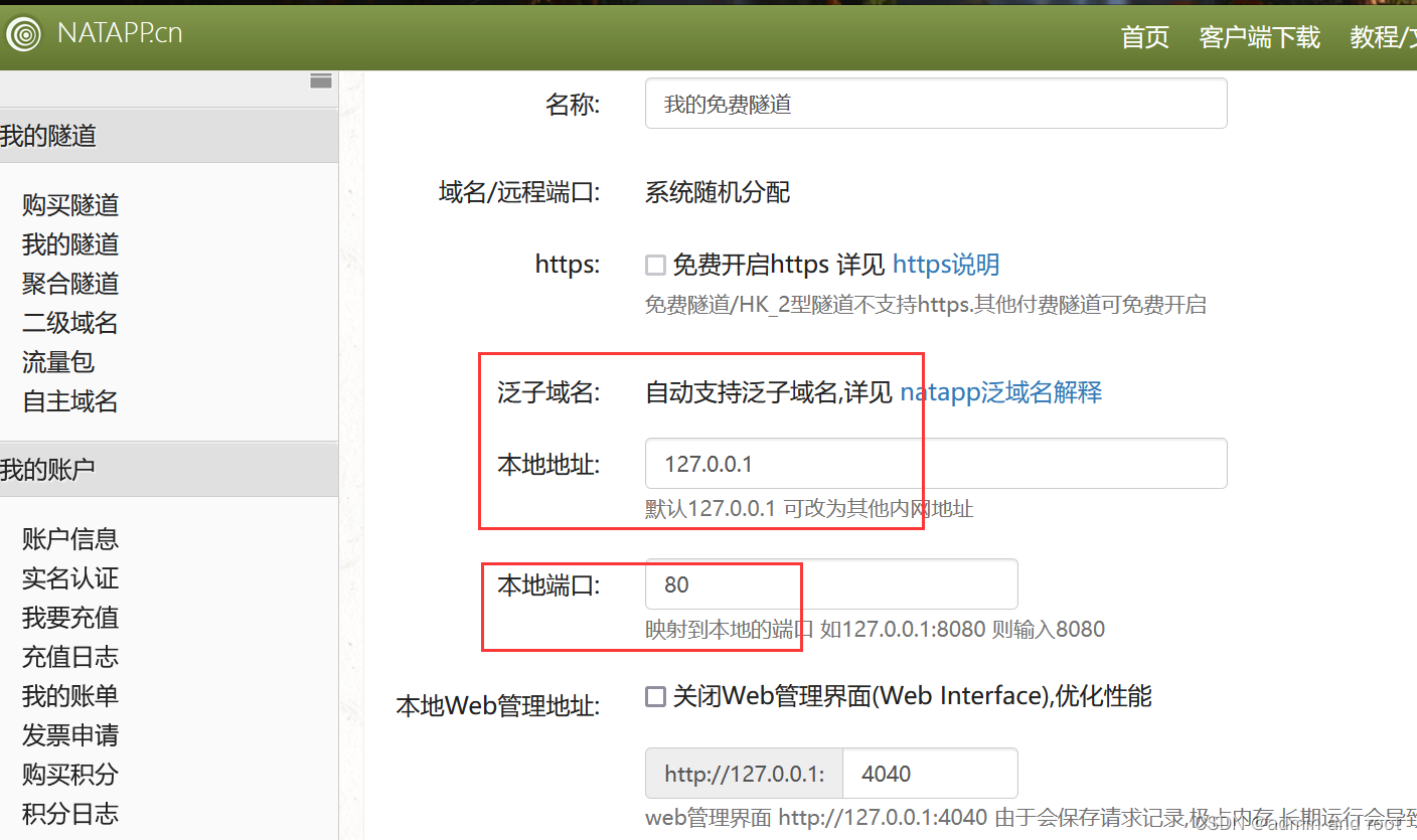NATAPP使用详细教程（免费隧道内网映射）_natmap-CSDN博客