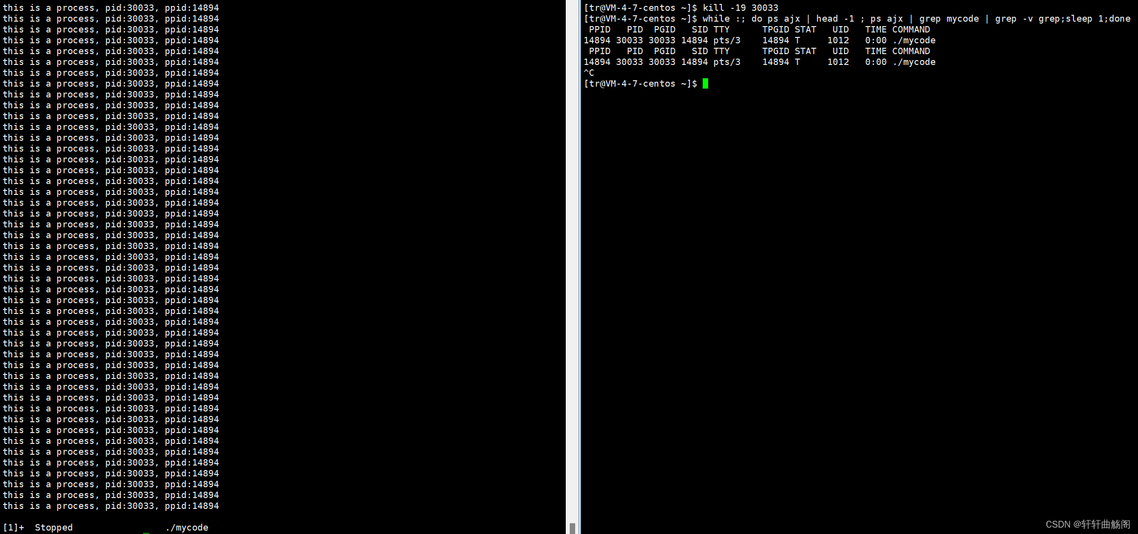 Linux基础——进程初识（二）_pid和ppid-CSDN博客