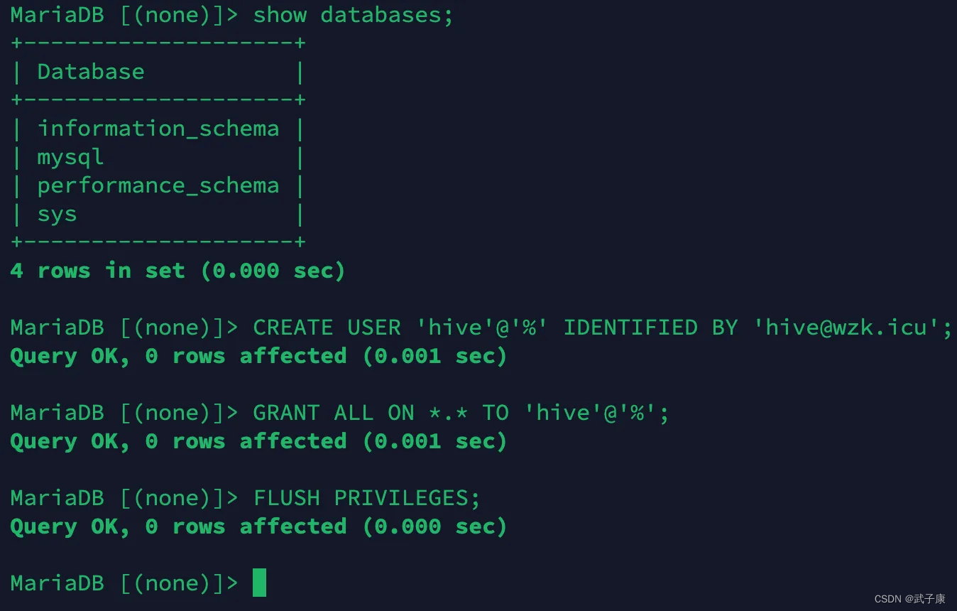Hadoop-12-Hive 基本介绍 下载安装配置 MariaDB安装 3台云服务Hadoop集群 架构图 对比SQL HQL...-CSDN博客