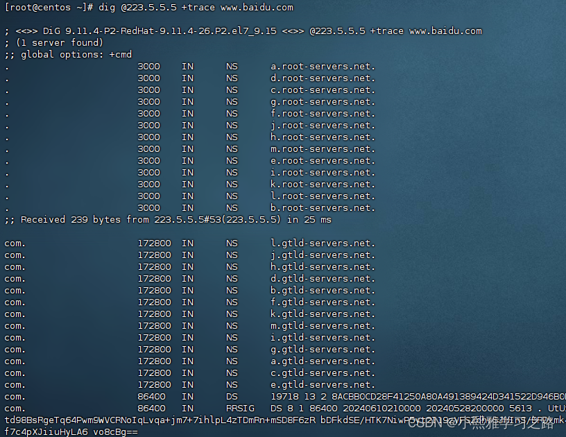 dig +trace 不显示结果，没有内容-CSDN博客