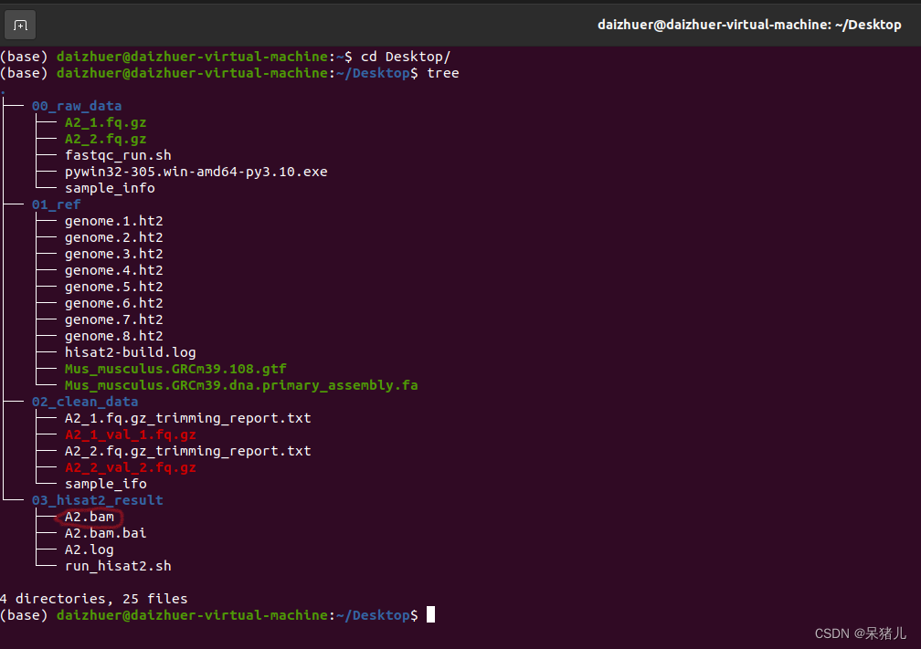 零基础入门转录组上游分析——第五章（表达定量）_--countreadpairs-CSDN博客