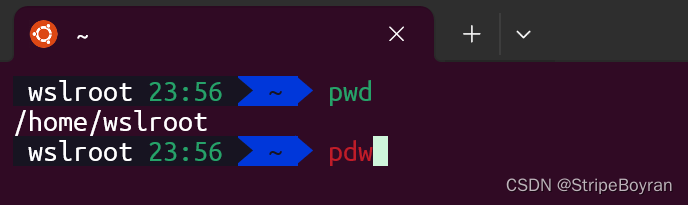 在wsl上使用zsh_wsl zsh-CSDN博客