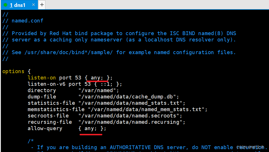 Linux(openEuler、CentOS8)企业内网主备DNS服务器搭建_openeuler dns-CSDN博客