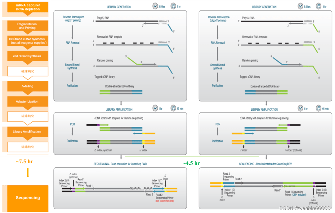 转载|干货分享丨一文详解常规RNA-seq与3’mRNAseq优势与局限_rna-seq也是测3’吗 还是测全长-CSDN博客