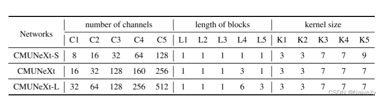 论文笔记CMUNeXt: An Efficient Medical Image Segmentation Network based on Large Kernel and Skip ...