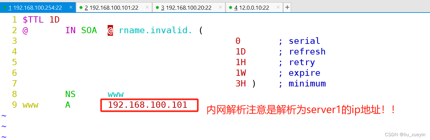 【linux网络】补充网关服务器搭建，综合应用SNAT、DNAT转换，dhcp分配、dns分离解析，nfs网络共享以及ssh免密登录-CSDN博客
