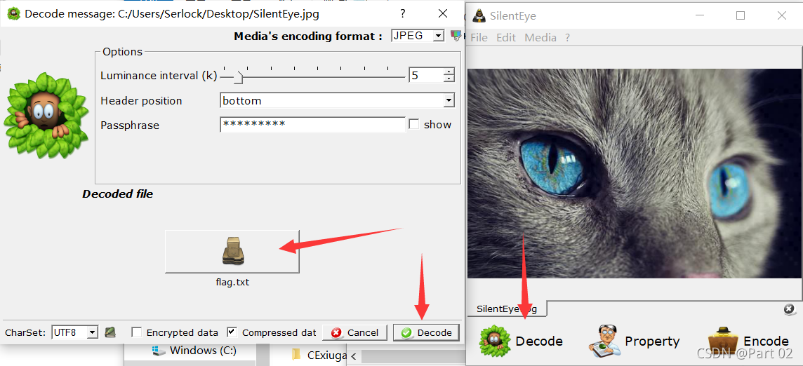 第二届梦极光，Misc：SilentEye_silenteye怎么用-CSDN博客