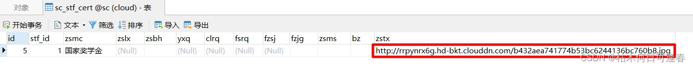SpringBoot整合七牛云实现文件上传——附Utils工具类（若依整合七牛云）_若依接入七牛云-CSDN博客
