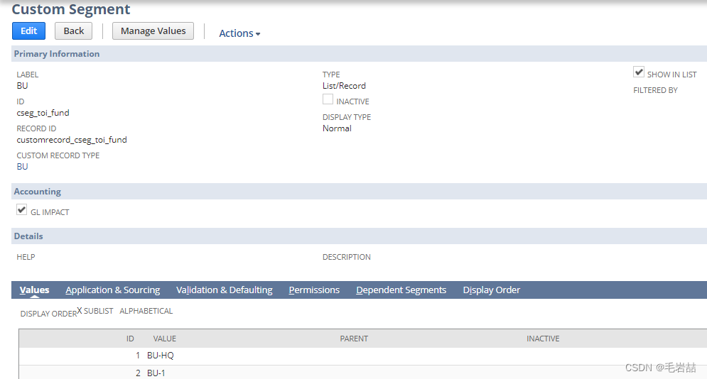 NetSuite Balancing Segment平衡段_oracle ebs 平衡段 sql-CSDN博客