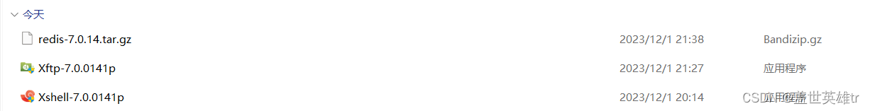 Redis安装保姆级教程：从VMware、CentOs、XShell到Redis的全过程下载和安装_xshell下载redis-CSDN博客