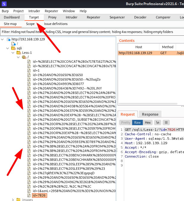 Sqlmap中代理及其他常用参数_sqlmap --proxy参数-CSDN博客