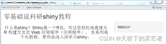 一起来学shiny把（2）—-shiny页面布局_shiny 教程-CSDN博客