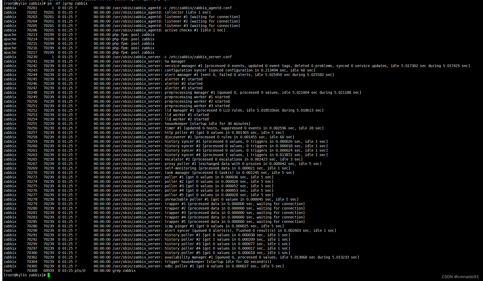 分布式应用：kylin 部署 zabbix 监控平台-CSDN博客