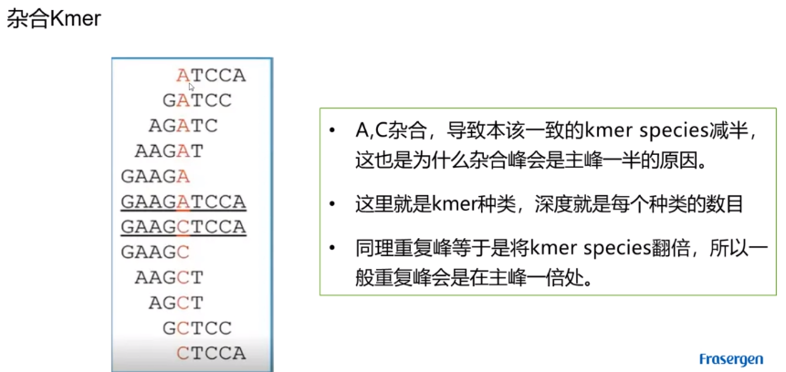 K-mer分析基因组-CSDN博客