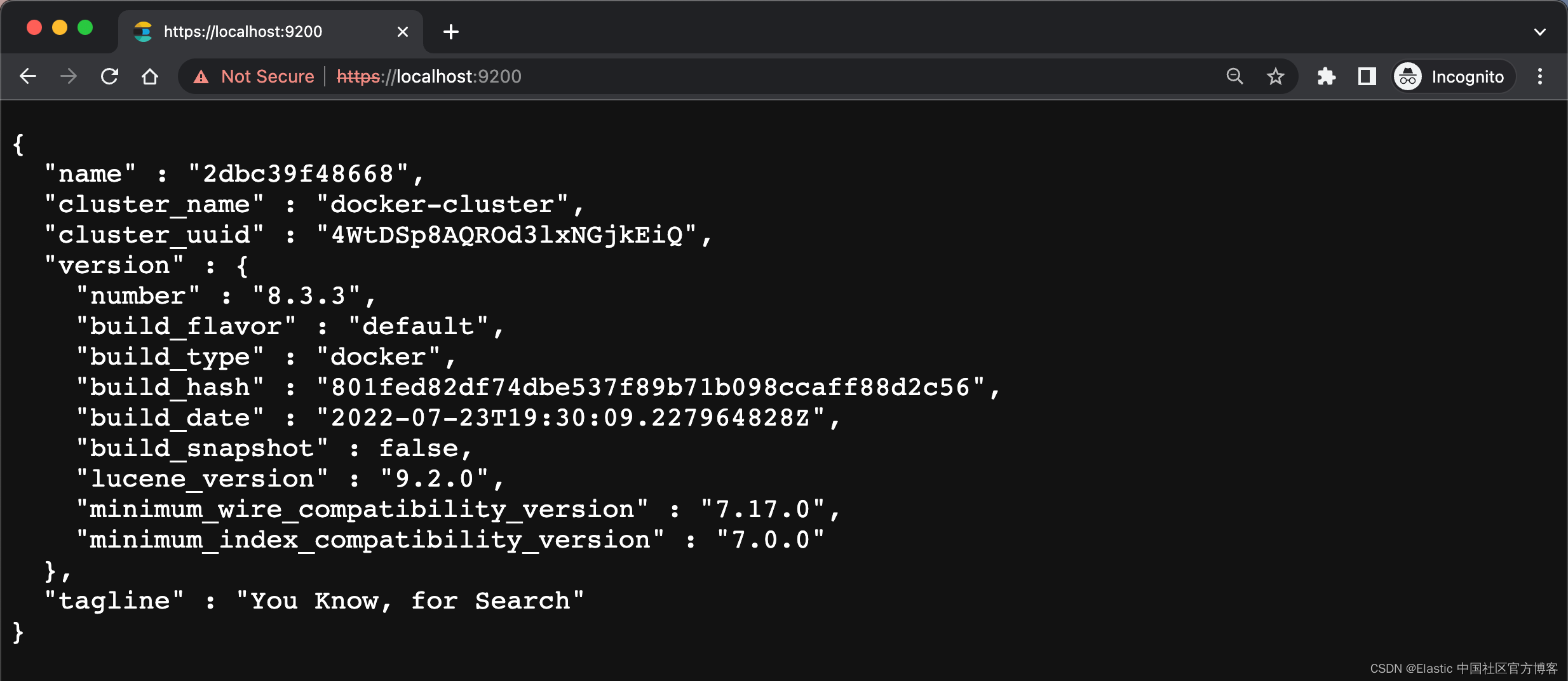 Elasticsearch：保护你的 Elasticsearch 实例 - 如何使用带有内置证书的 Docker 镜像_es docker 证书-CSDN博客