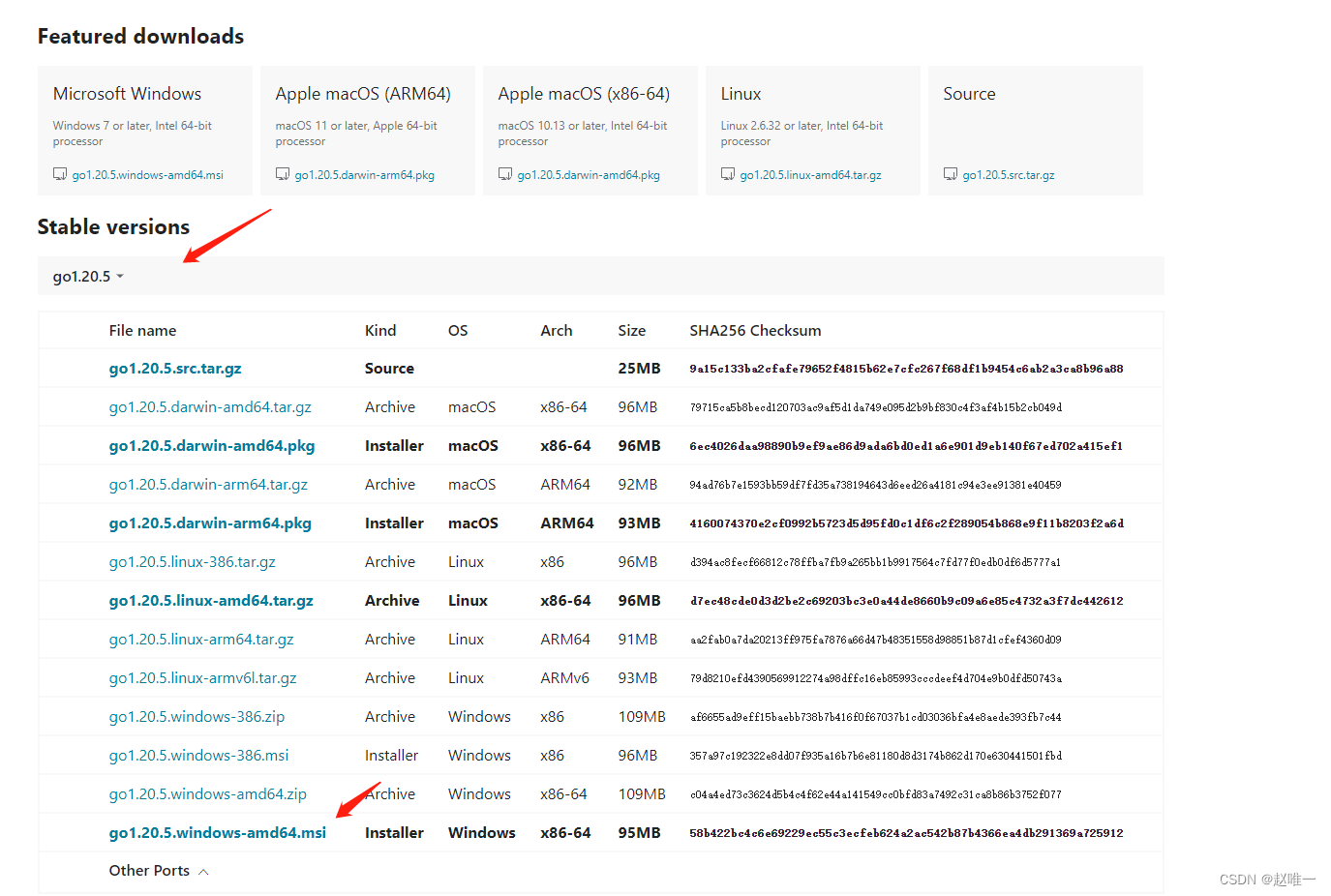 二、Golang语言介绍、环境搭建以及编译工具（ CDN 加速代理）-CSDN博客
