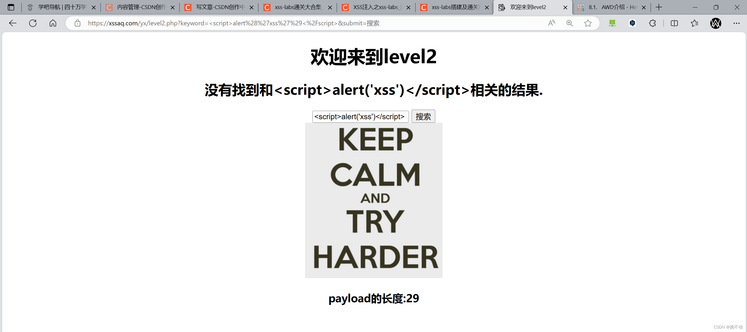 网安入门18-XSS（靶场实战）_实体化编码-CSDN博客
