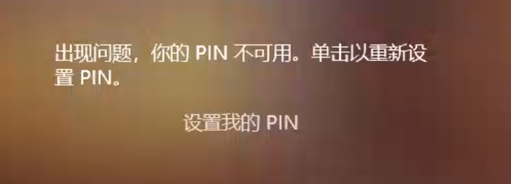 PIN 不可用_出现问题,你的pin不可用,单击以重新设置pin-CSDN博客