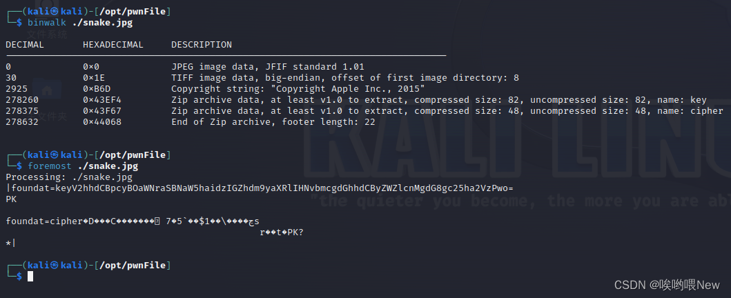 ctf题集【BUUCTF misc】snake_ctf snake-CSDN博客