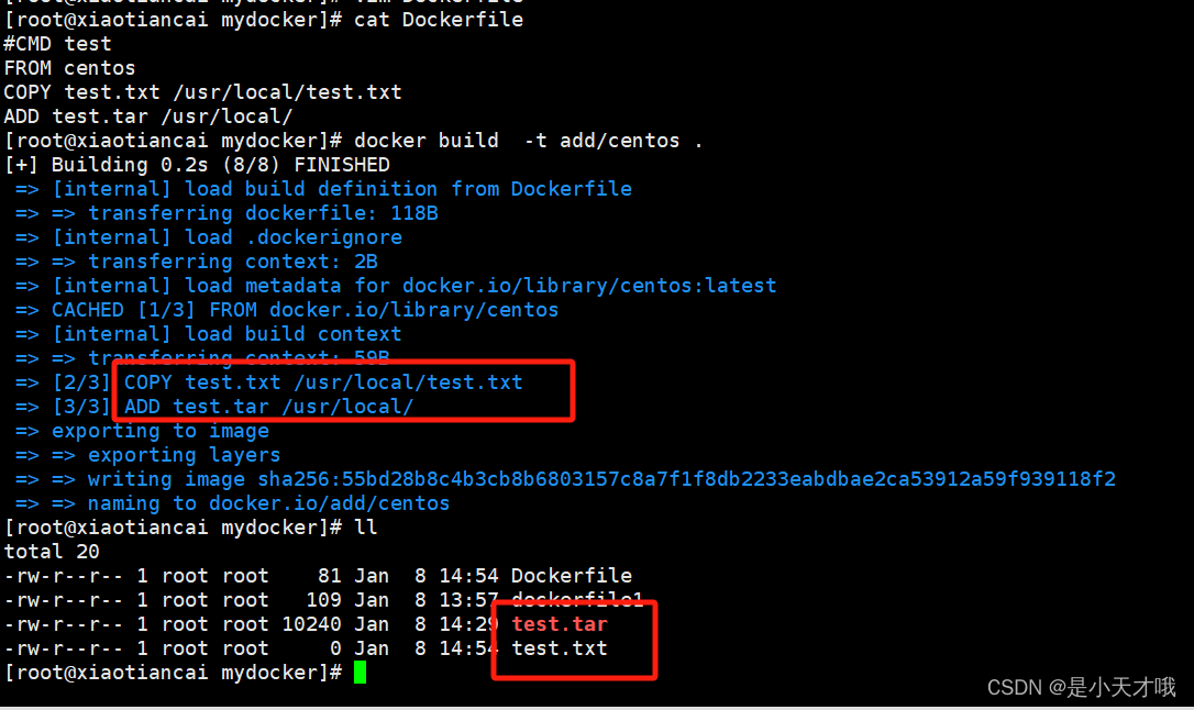 Docker-Dockerfile案例-ADD和CP演示_dockerfile cp-CSDN博客
