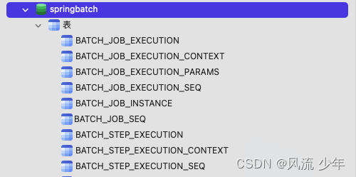 SpringBatch从入门到实战(六)：表结构_springbatch搭建實現從一個表裏取數據插入到另一個表中-CSDN博客