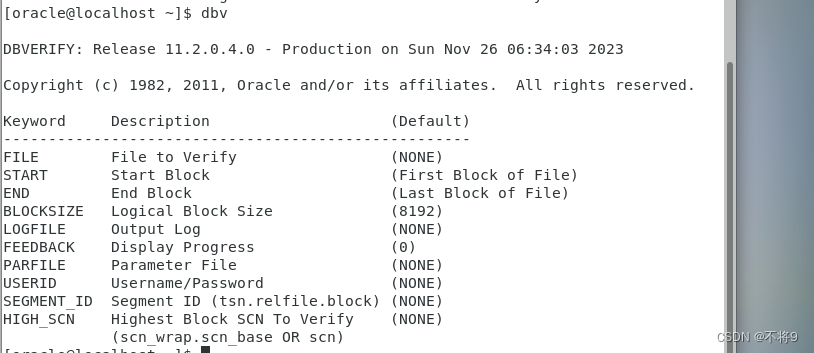 ORACLE DBVERIFY的用法-CSDN博客