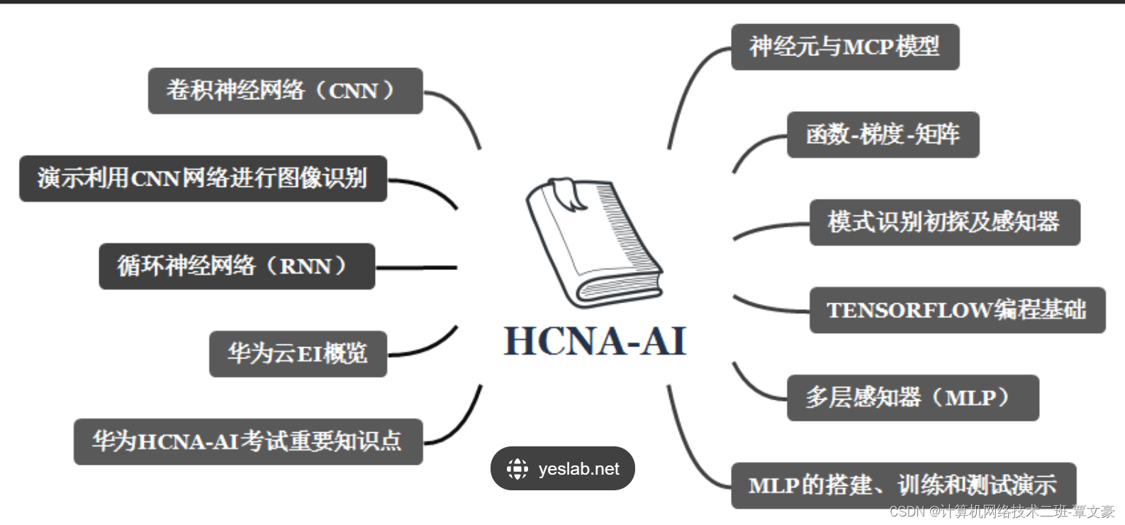ENSP学习指南：从基础到高级网络配置-CSDN博客