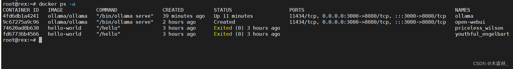 解决docker守护进程冲突:Error response from daemon Conflict_docker: error response from daemon: conflict ...