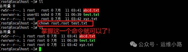 Linux权限-chown命令-CSDN博客