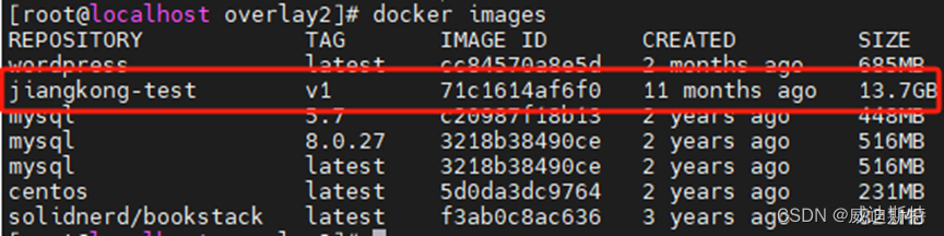 Linux系统: docker删除镜像出现错误Error response from daemon: conflict: unable to delete 的问题解决-CSDN博客
