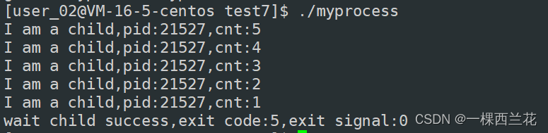 Linux：进程退出 与 进程等待wait，waitpid-CSDN博客