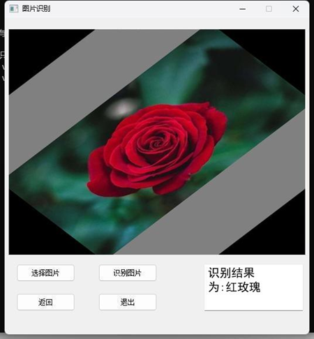 基于python_CNN卷积神经网络识别花卉-含数据集+pyqt界面-CSDN博客