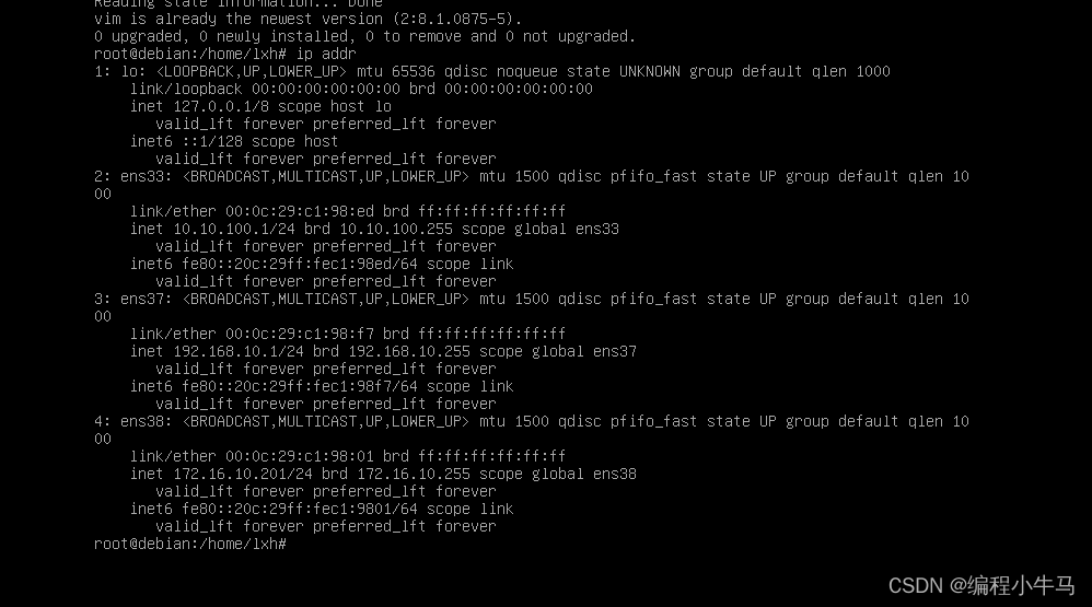 Debian系统如何进行多网卡配置并进行ping通_debian网卡配置-CSDN博客
