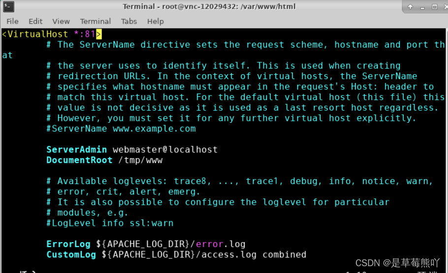 web环境配置--LAMP——apache2环境搭建_apache2 教程-CSDN博客