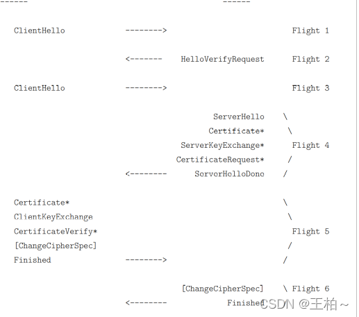 DTLS与TLS：安全传输协议详解-CSDN博客